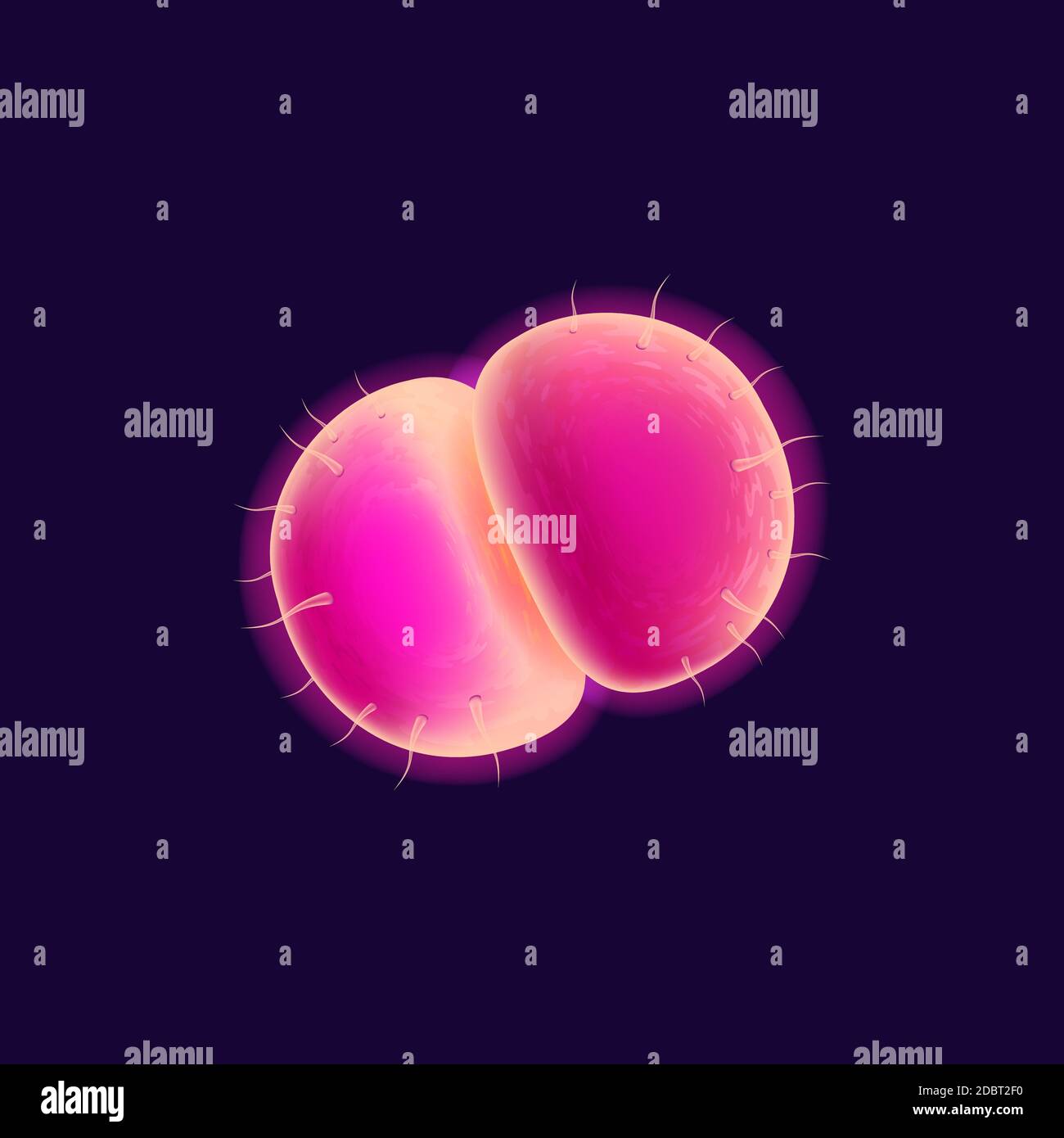 Viral genomes hi-res stock photography and images - Alamy