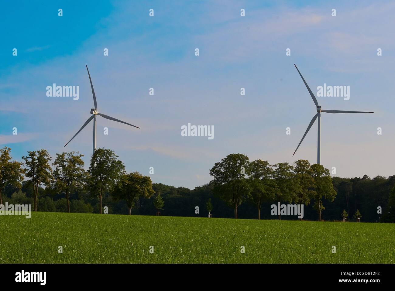 windmills in a rural environment with meadows and trees Stock Photo - Alamy