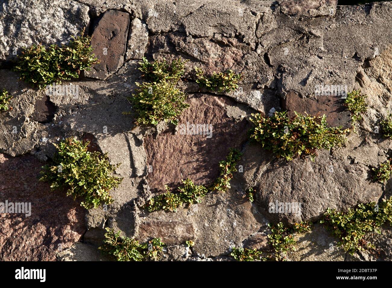 Background image as texture with structure Stock Photo - Alamy
