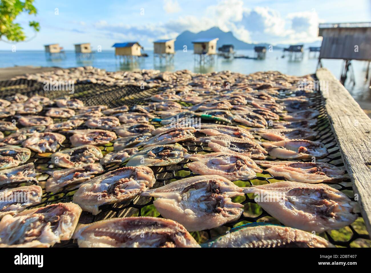 Malaysia dried fish hi-res stock photography and images - Alamy