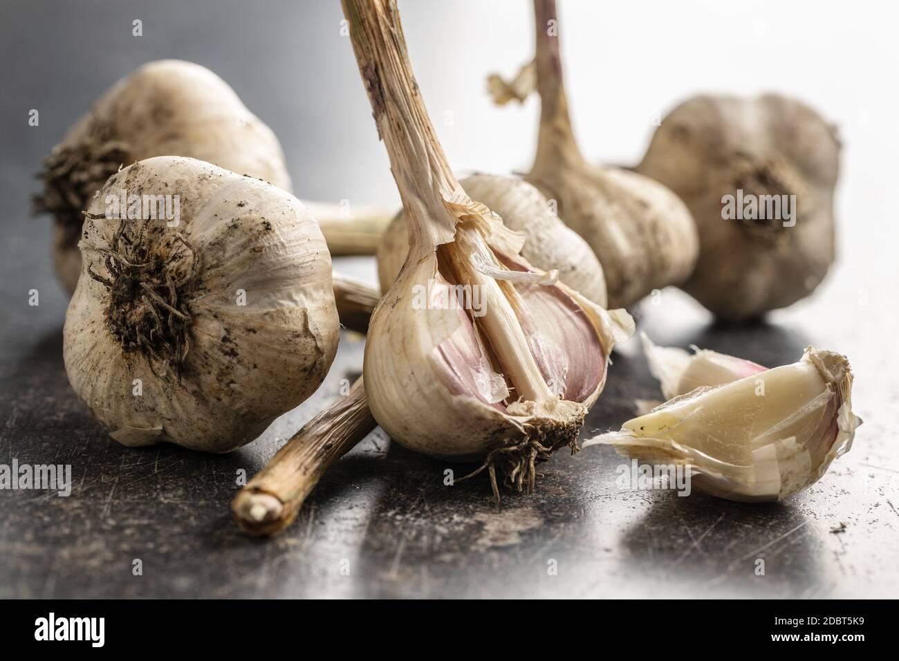 Homegrown white garlic. Bio garlic bulbs on black table Stock Photo - Alamy