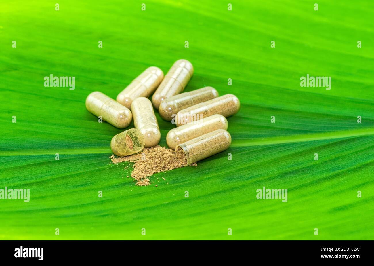 Herbal capsule and powder on green leaf background Stock Photo - Alamy