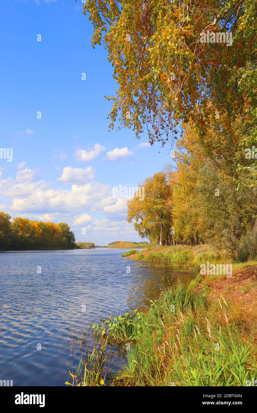 autumn landscape with river and trees Stock Photo - Alamy