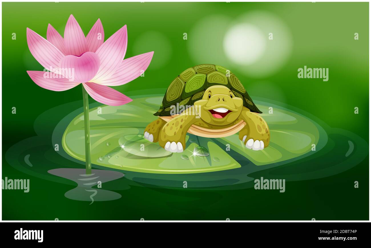 tortoise floating on lotus leaf in the pond Stock Photo - Alamy