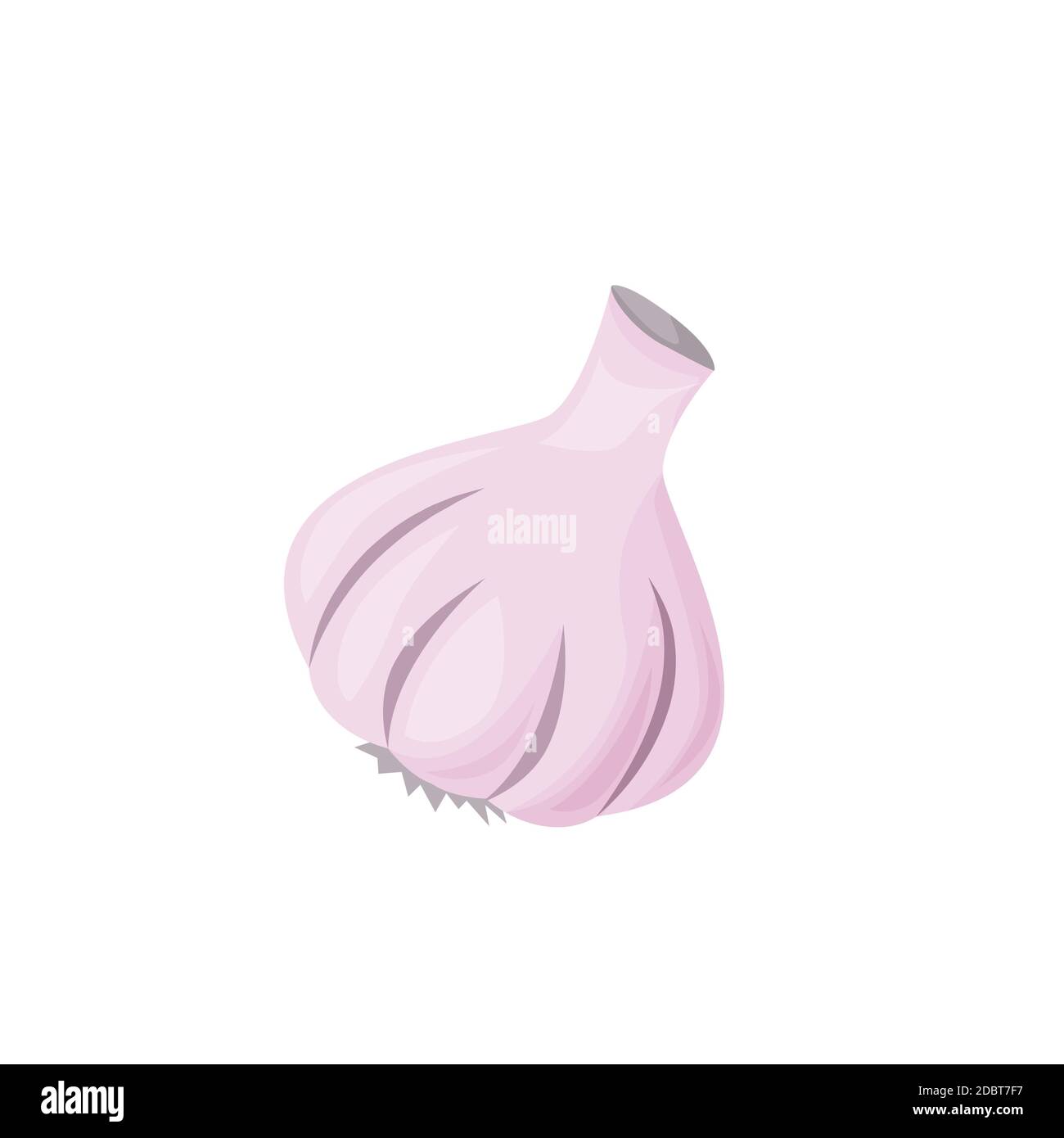 Garlic bulb cartoon vector illustration. Raw spicy vegetable flat color ...