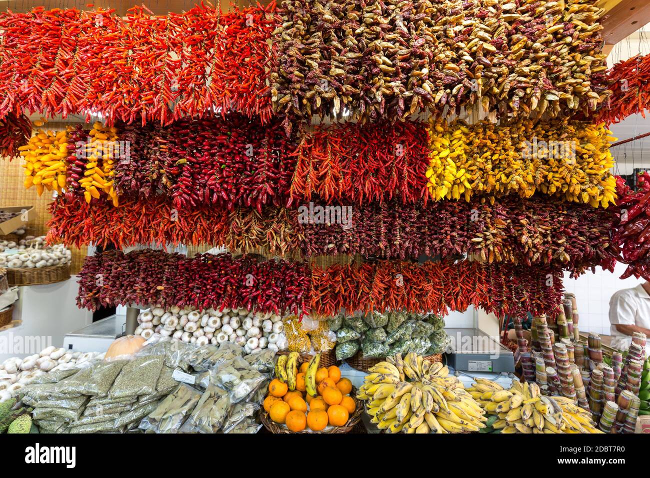 Long island native american hi-res stock photography and images - Alamy