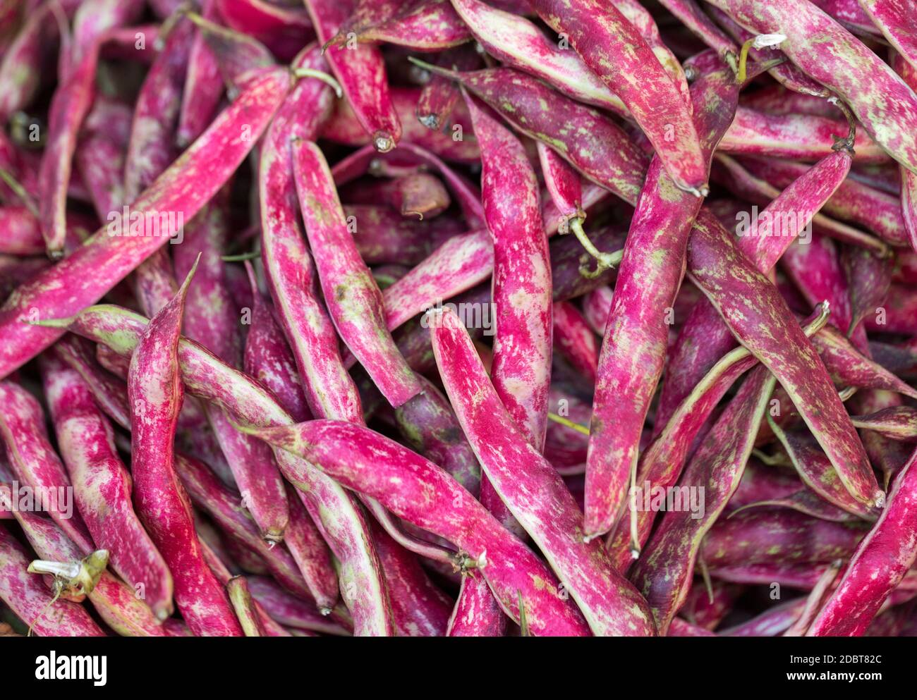 Pods of red beans on the counter farm market Stock Photo - Alamy