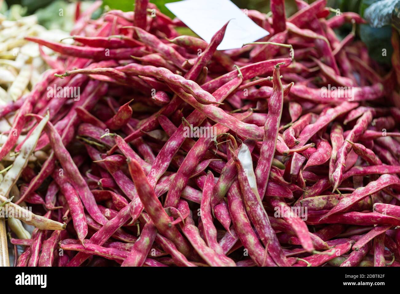 Pods of red beans on the counter farm market Stock Photo - Alamy