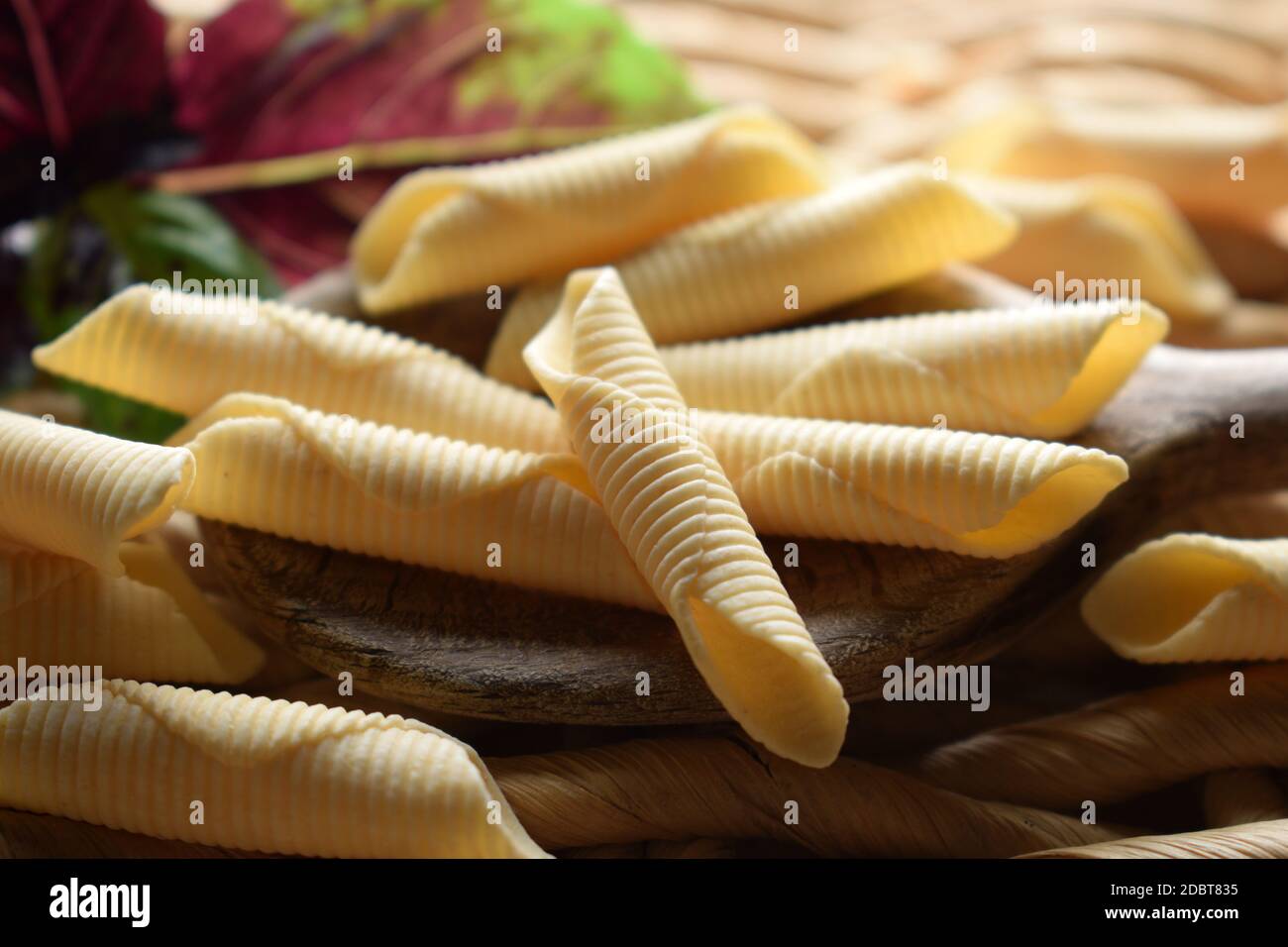Garganelli are a type of Italian pasta Stock Photo - Alamy