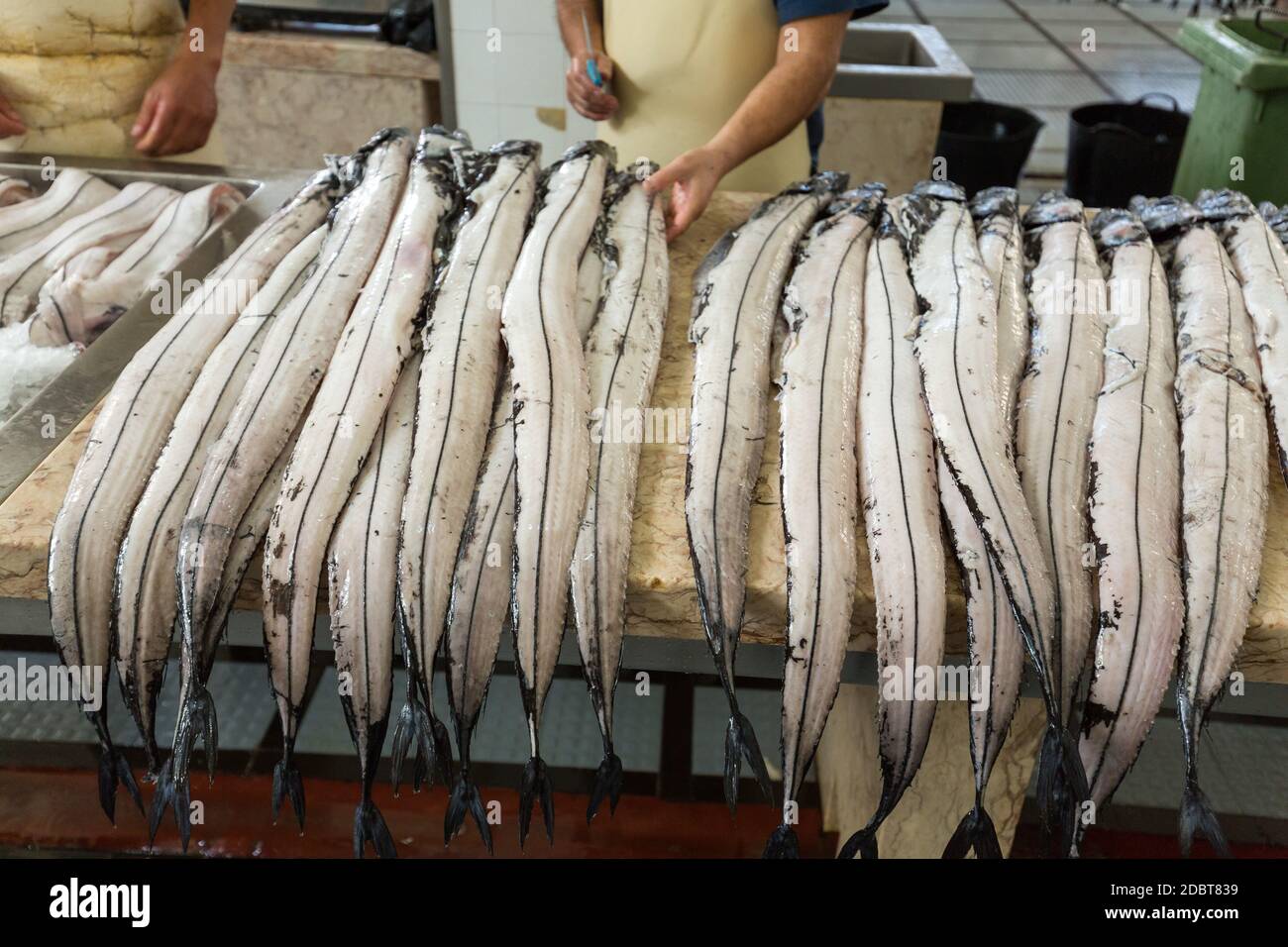 Fish on market, black scabbard (espada) in fish market Stock Photo - Alamy