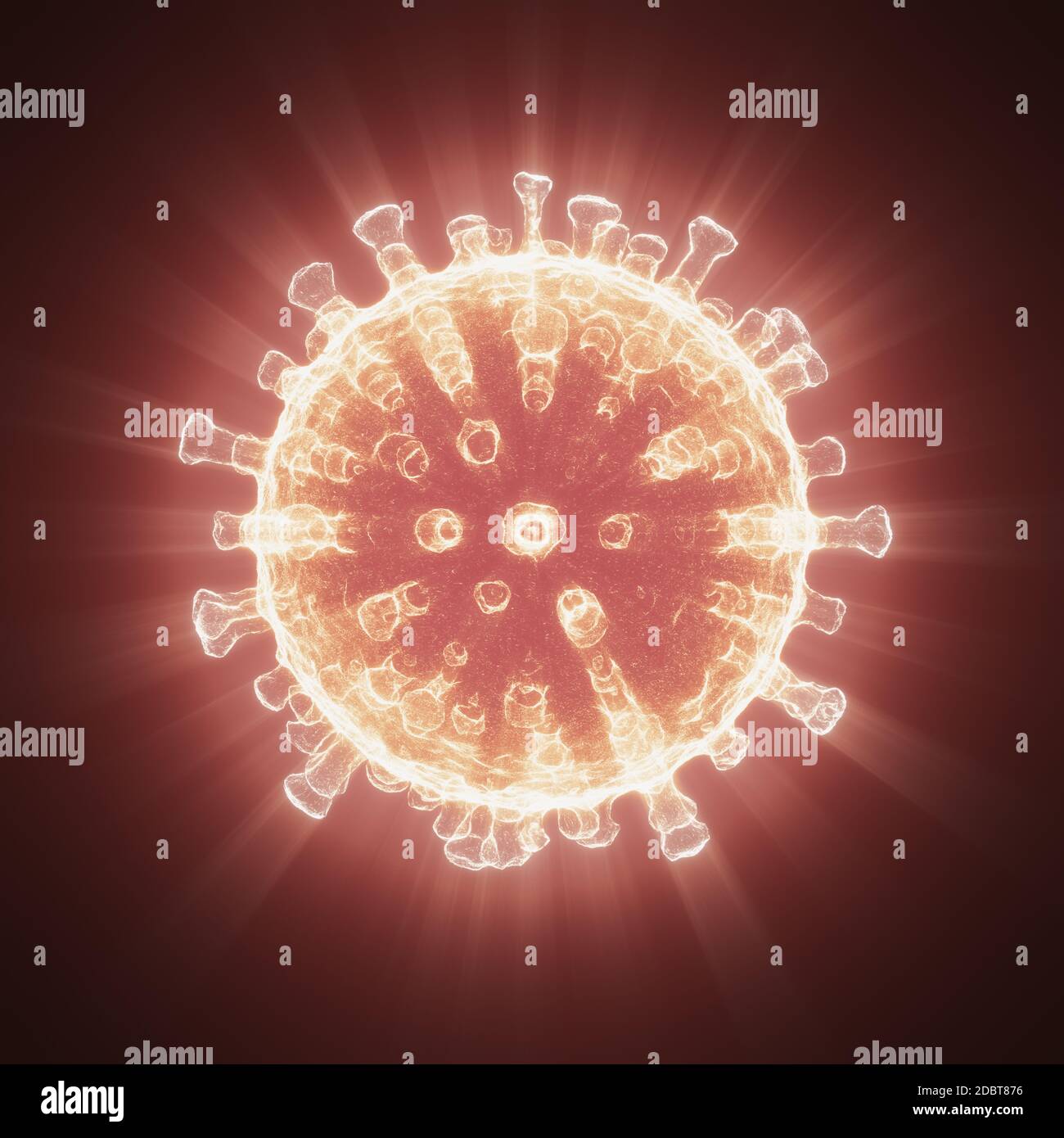Viral structure. Viral particle is made up of a nucleus of nucleic acid ...