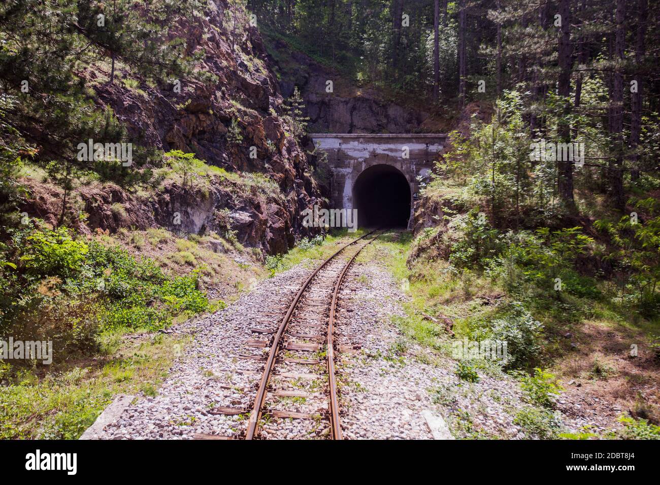 Old railway tunnel on Narrow-gauge railway, Tourist Attraction, old ...