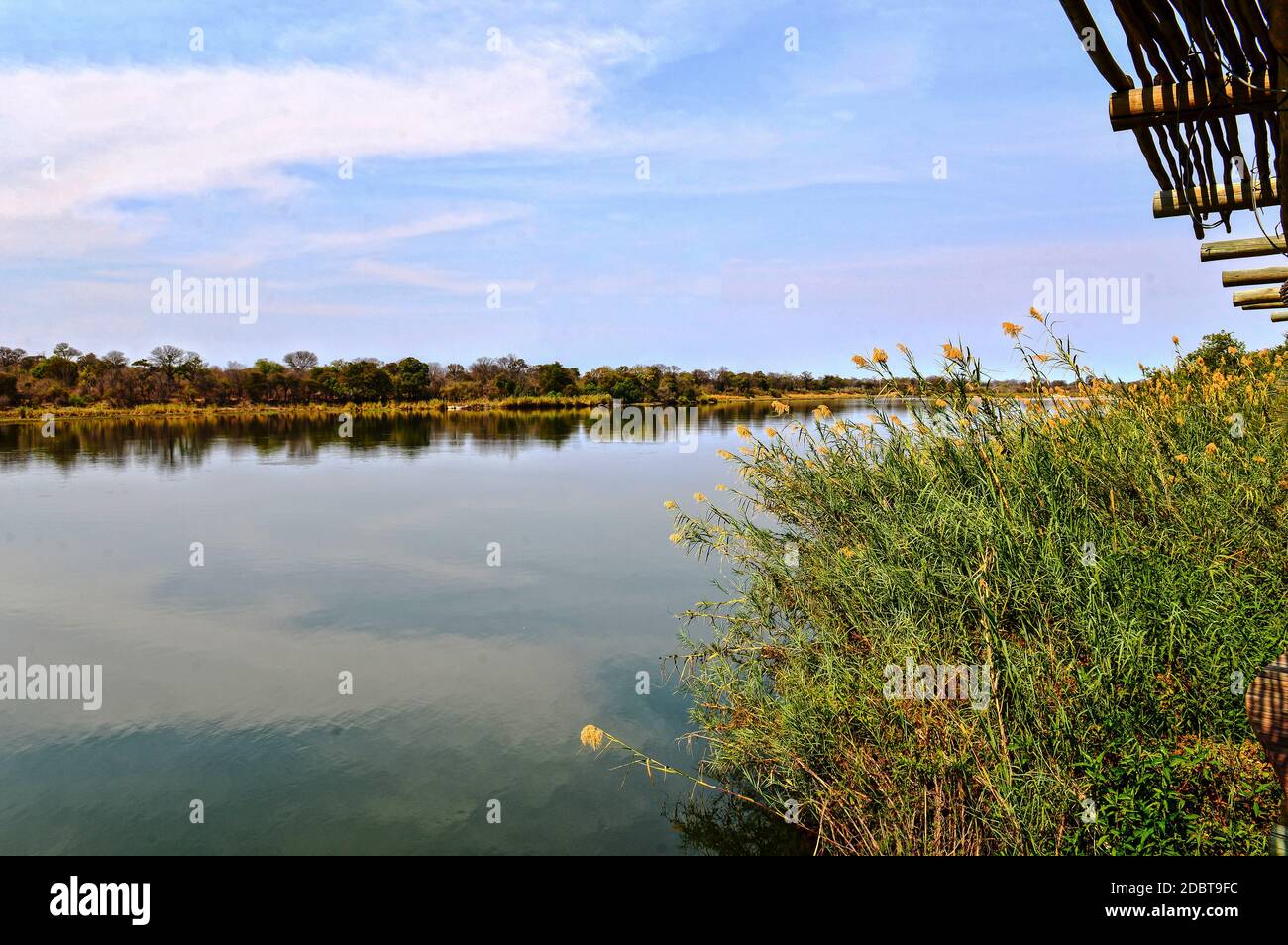 River landscape of the Okavango in Namibia Stock Photo - Alamy