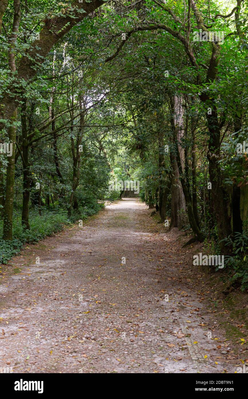 Ground path in the park. Cloudy day Stock Photo - Alamy
