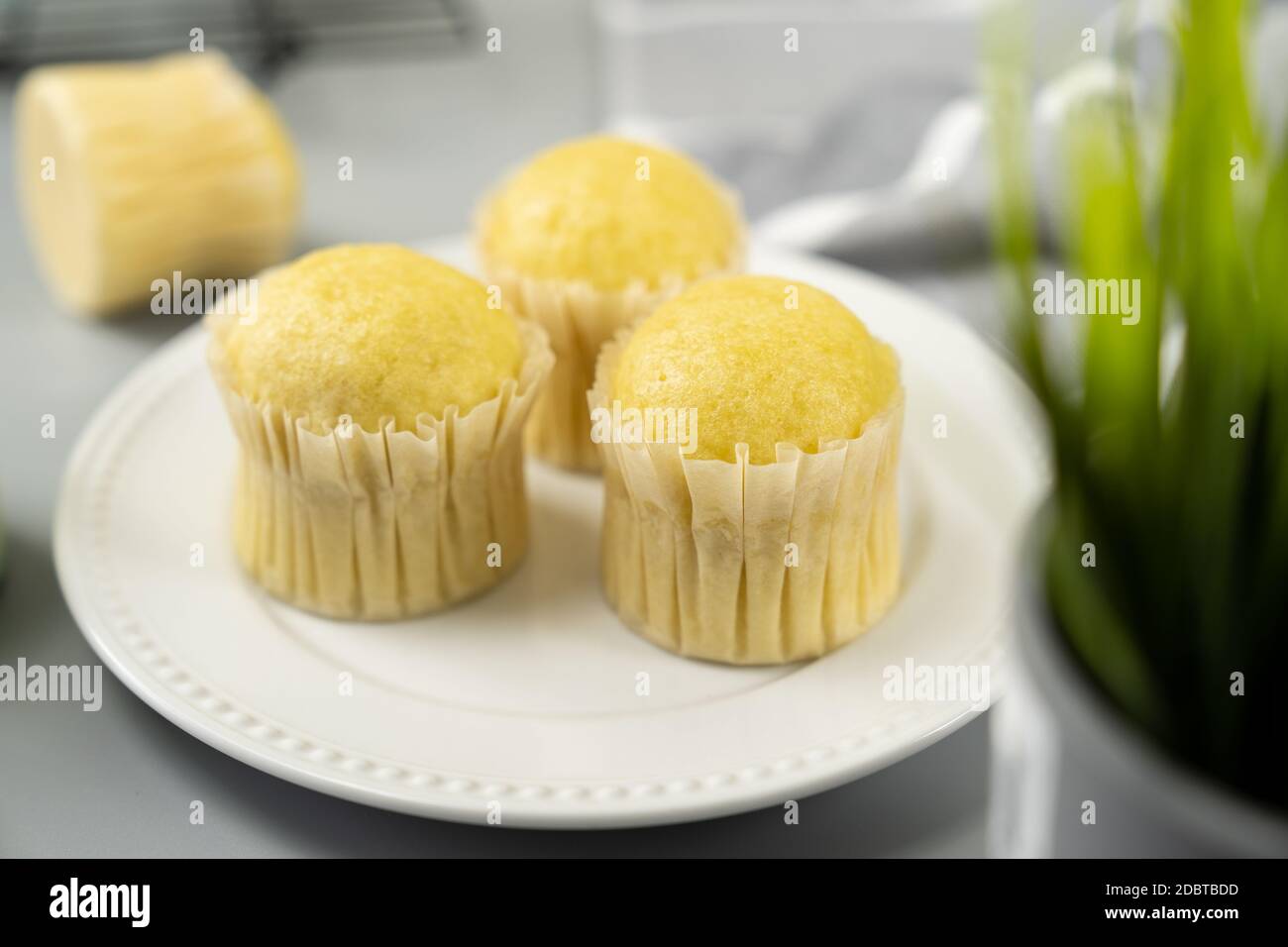 Steamed sponge milk muffins Stock Photo - Alamy