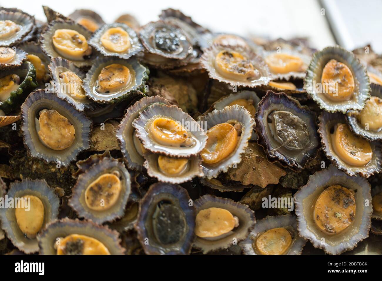 Limpets at Funchal fish market Madeira Portugal Stock Photo - Alamy