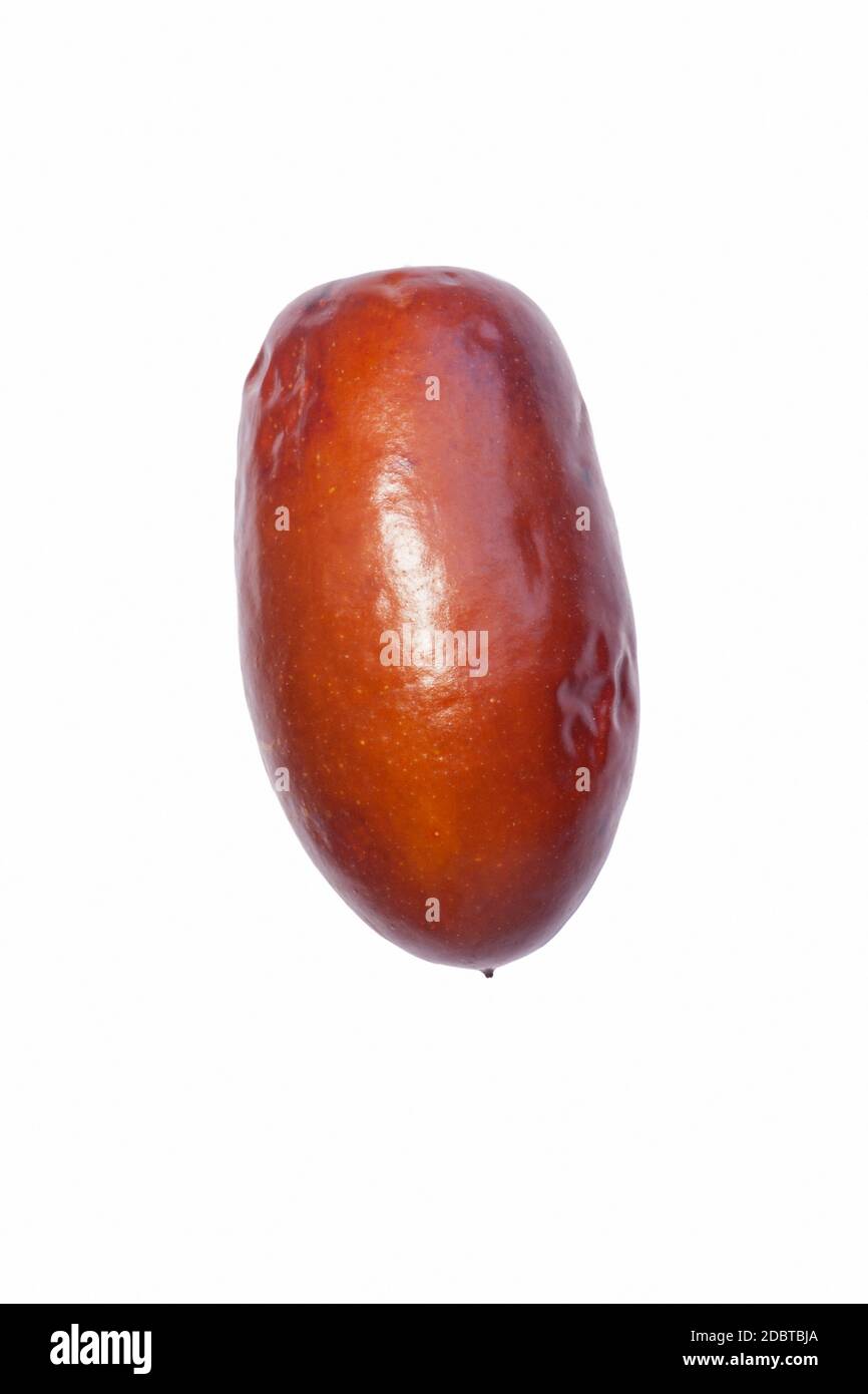 Jujube (Ziziphus jujuba). Called Red date, Chinese date, Korean date ...