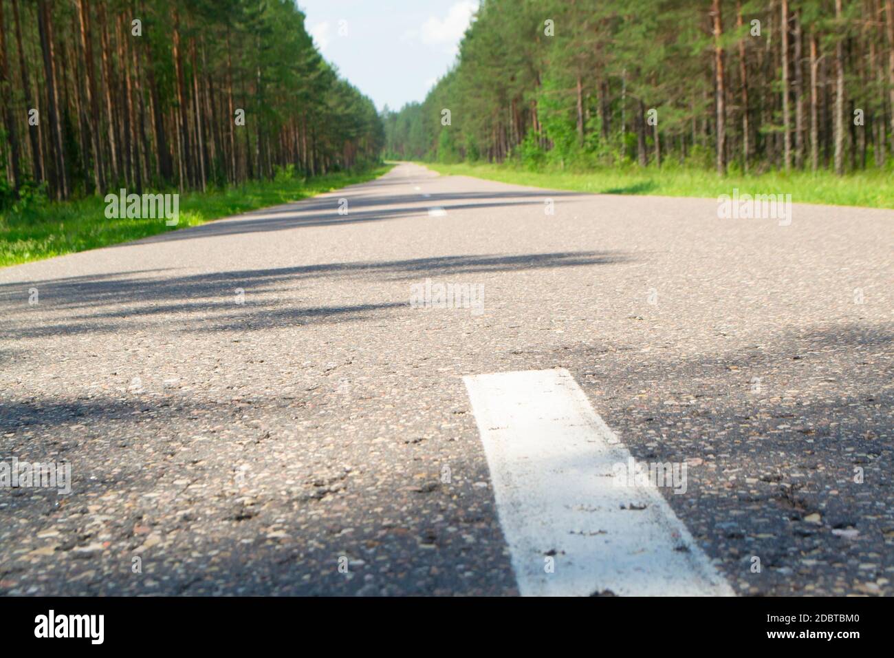 Summer country road with trees beside concept, landscape in Belarus ...