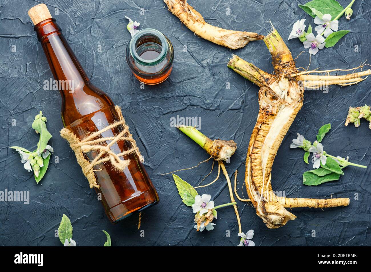 Althaea officinalis root hi-res stock photography and images - Alamy