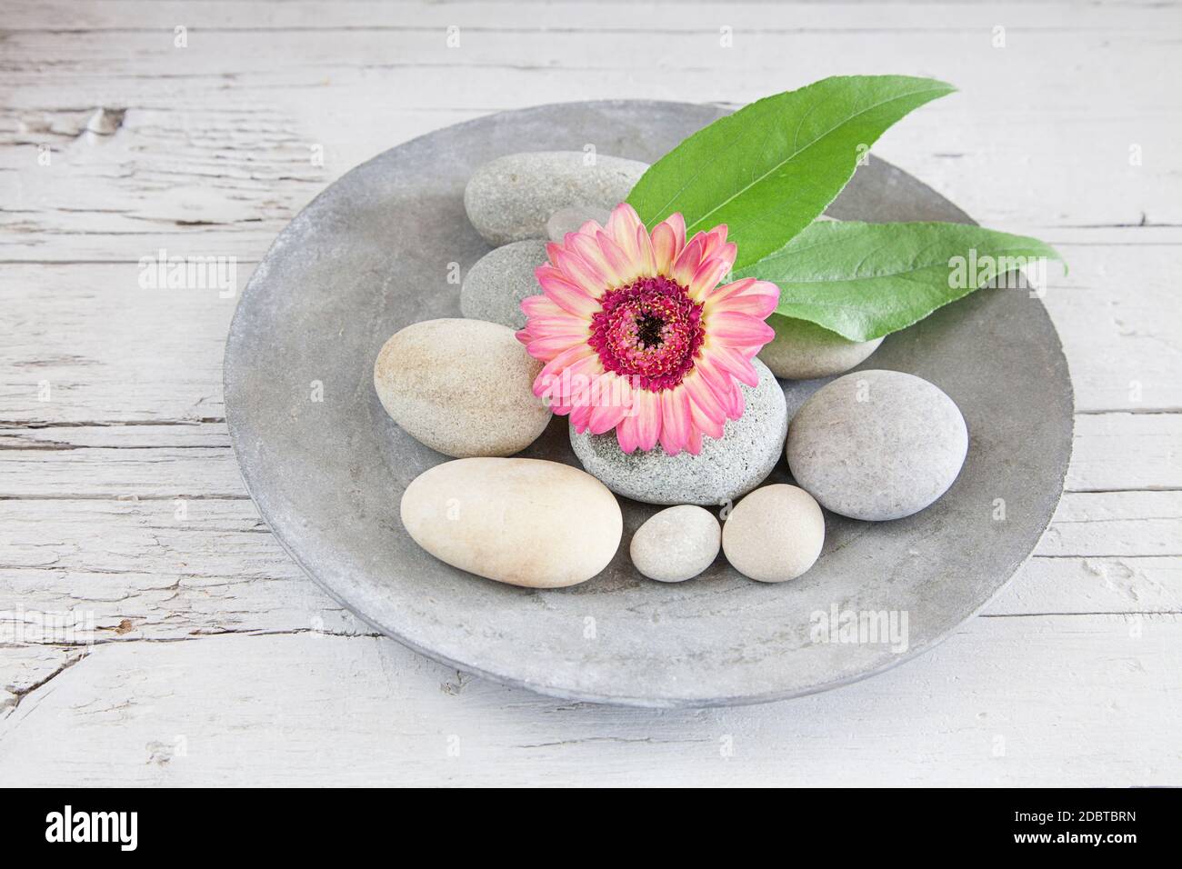 Flower arrangement zen style with daisy and leaves on a concrete plate ...
