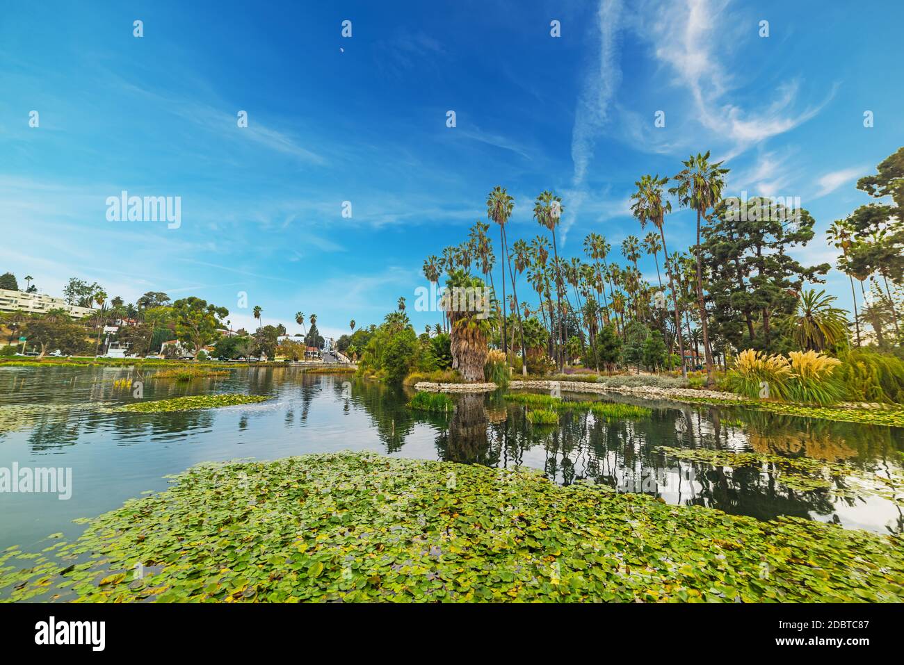 Echo park in Los Angeles, California Stock Photo - Alamy
