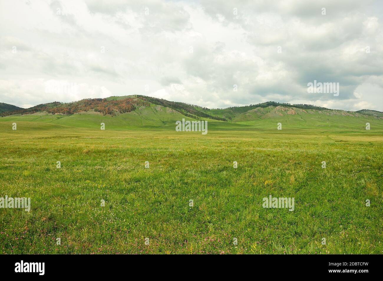 Endless hills grassland steppe hi-res stock photography and images - Alamy
