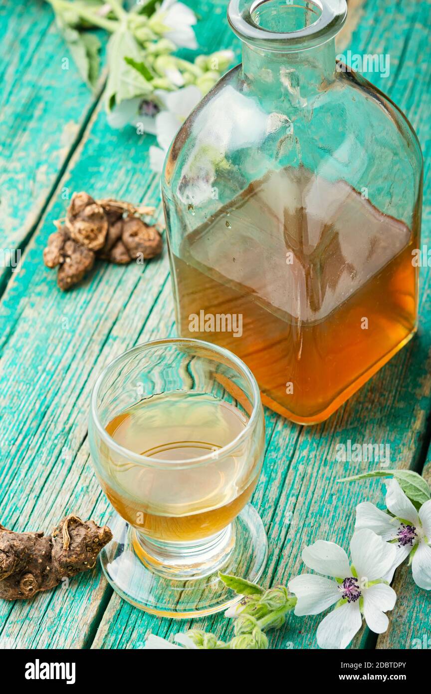 Therapeutic medicinal herbal teas and althea root elixirs. herbal ...