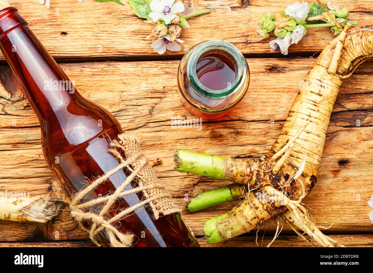 Althaea root or rhizome and healing tincture.Medicinal herbs and plants ...