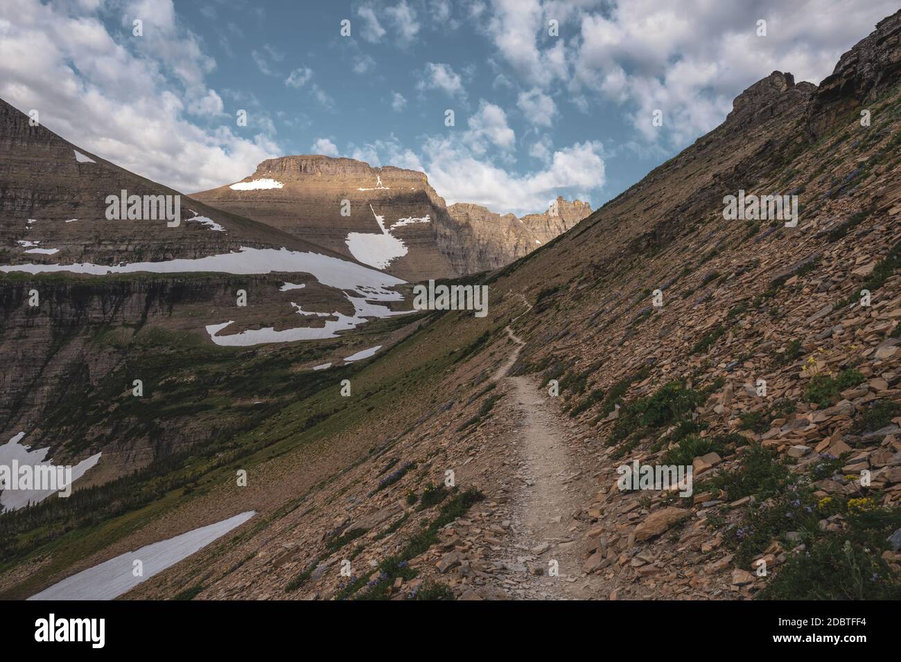 Thin Trail Heads up to Piegan Pass in Glacier National Park Stock Photo ...
