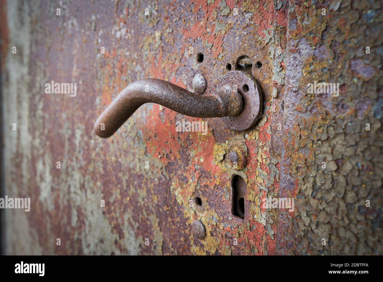 Magdeburg Door High Resolution Stock Photography and Images - Alamy