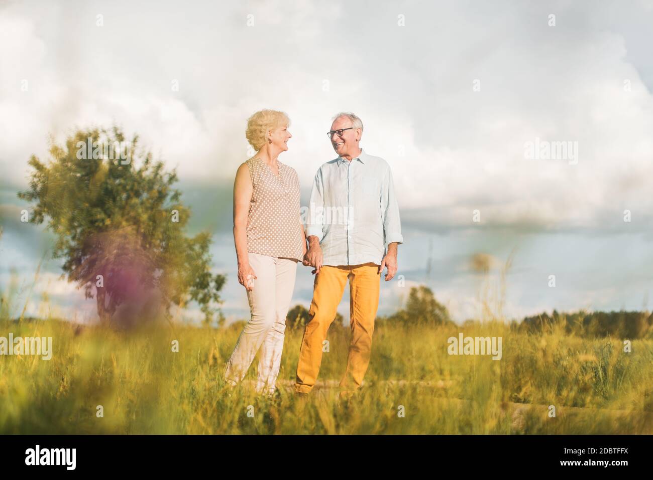 Senior husband and wife having a walk in summer landscape holding hands ...