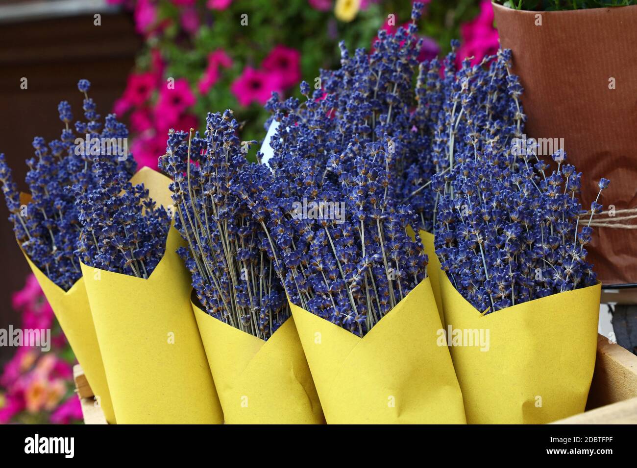 Close up bouquets of dried lavender flowers wrapped in yellow paper at ...