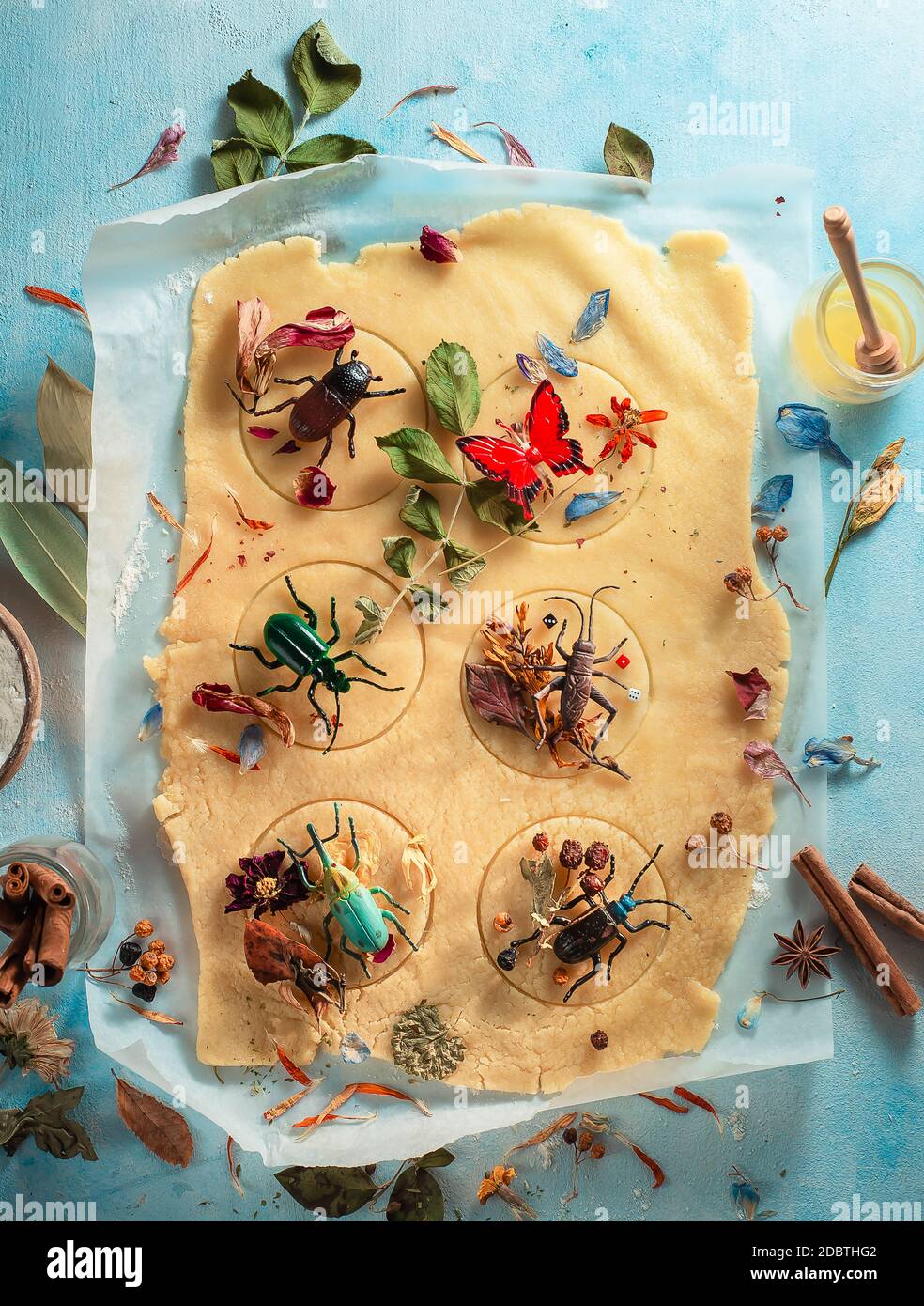 Beetles and insects with leaves and petals on the rolled dough, baking ...