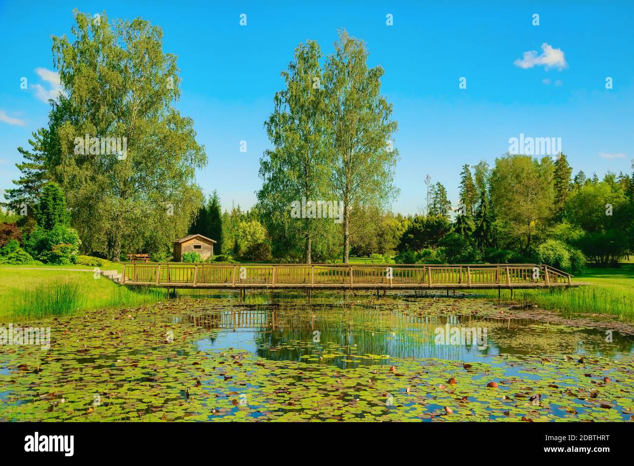 Small bridge over pond hi-res stock photography and images - Alamy