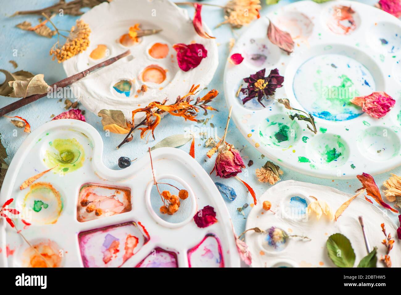 Art botany flat lay with watercolor palettes, leaves and petals, nature ...