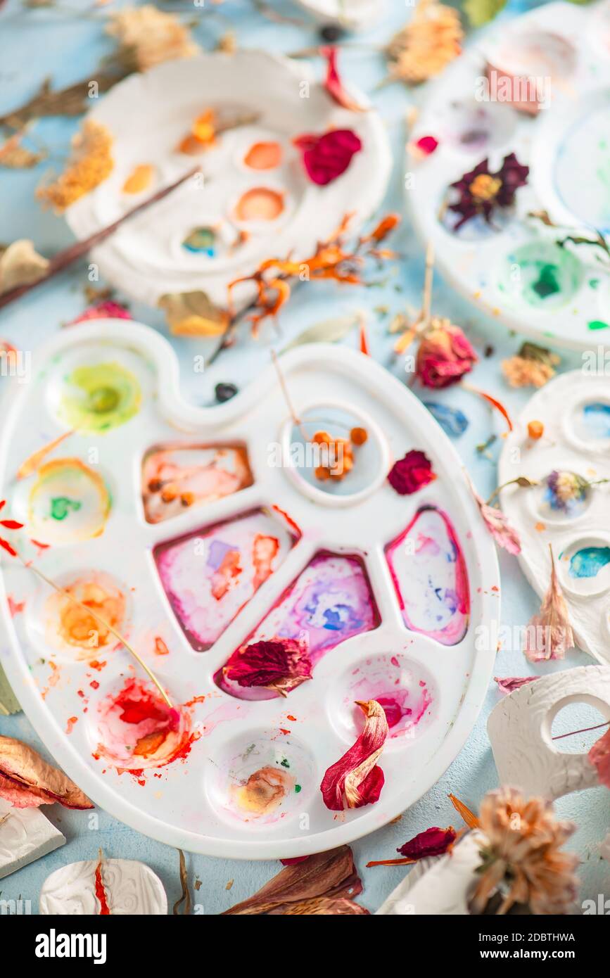 Art botany flat lay with watercolor palettes, leaves and petals, nature ...