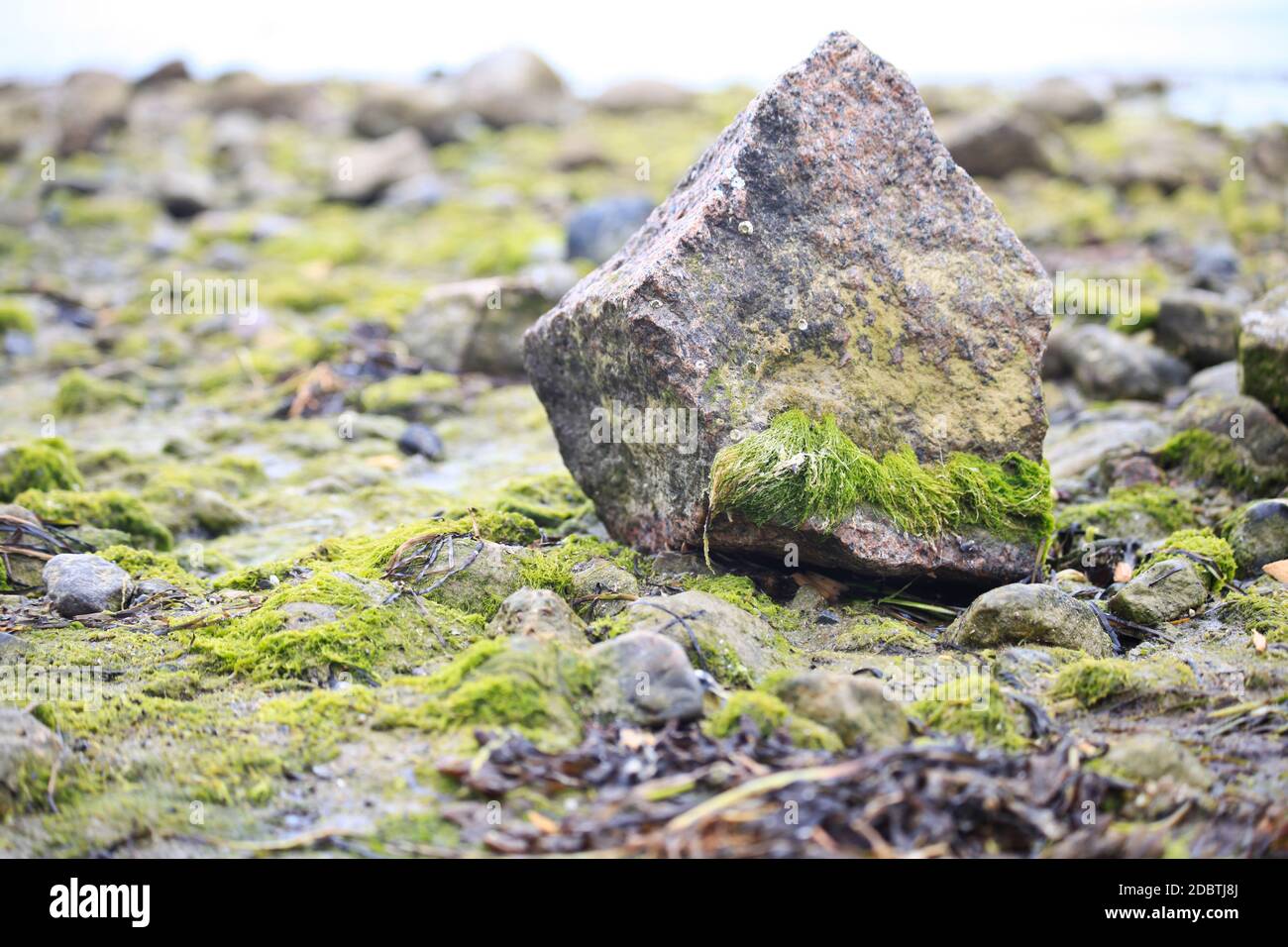 Stone sculpture on the beach Stock Photo - Alamy