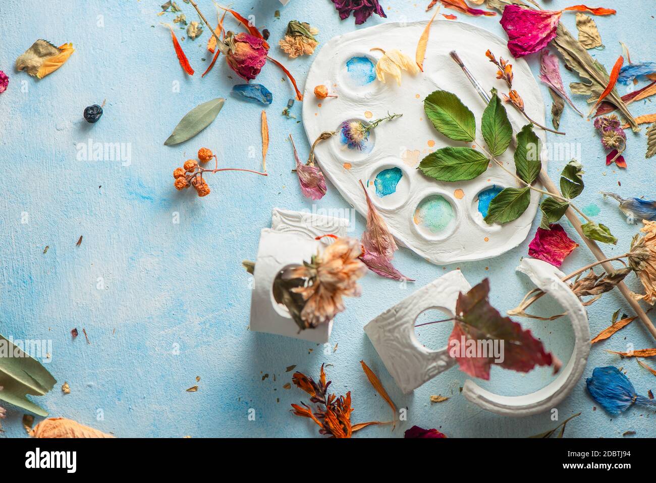 Art botany flat lay with watercolor palettes, leaves and petals, nature ...
