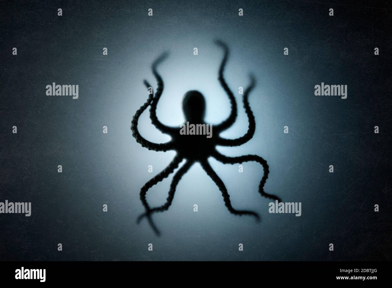 Octopus behind a dusty scratched glass Stock Photo - Alamy