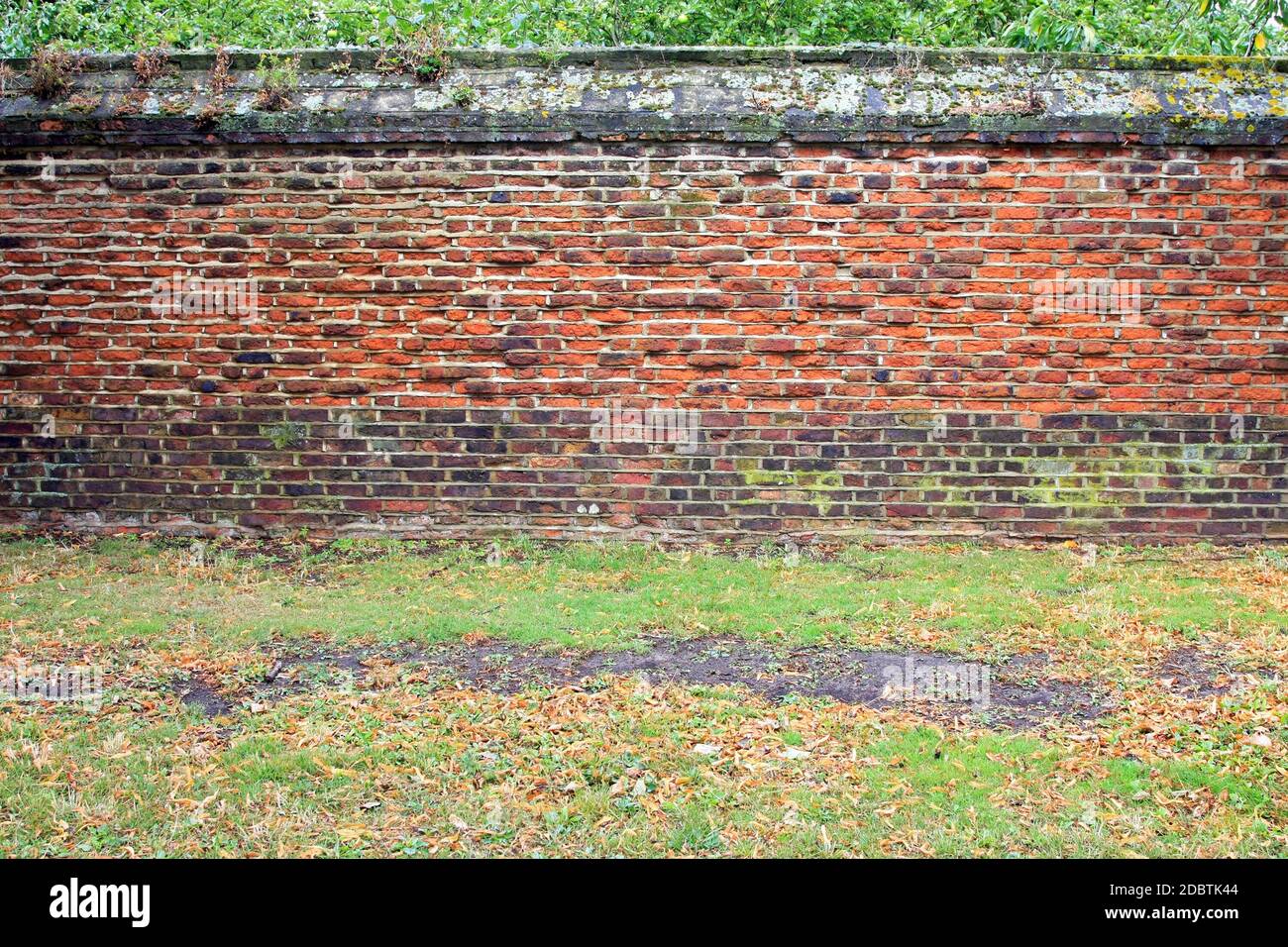 Very old English wall from medieval period Stock Photo - Alamy