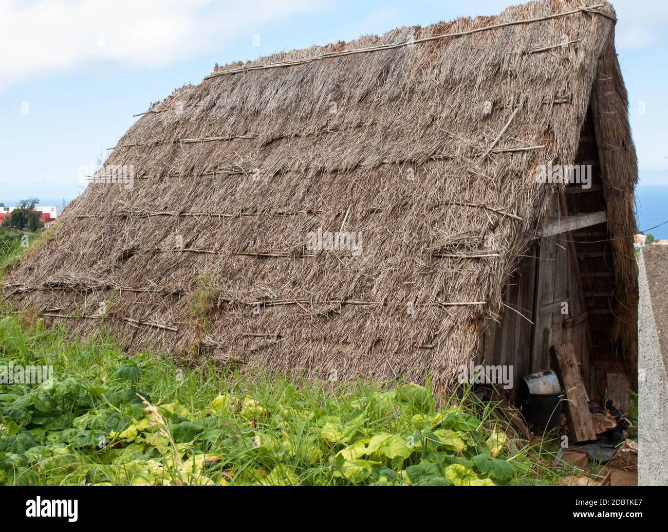Traditional rural house in Santana on Madeira island, Portugal Stock ...