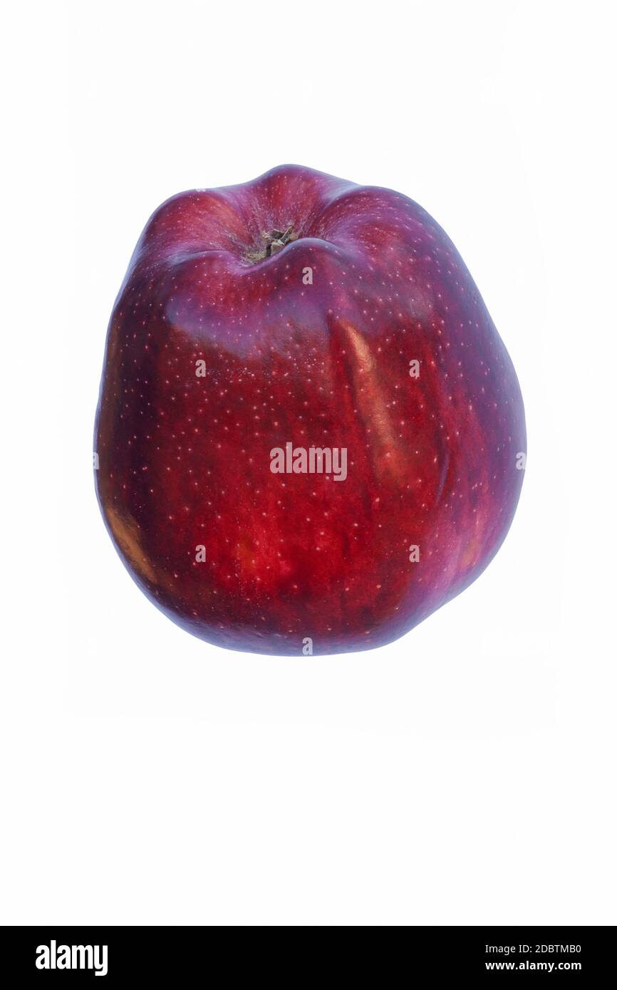 Red delicious apple (Malus domestica Red Delicious). Image of single ...