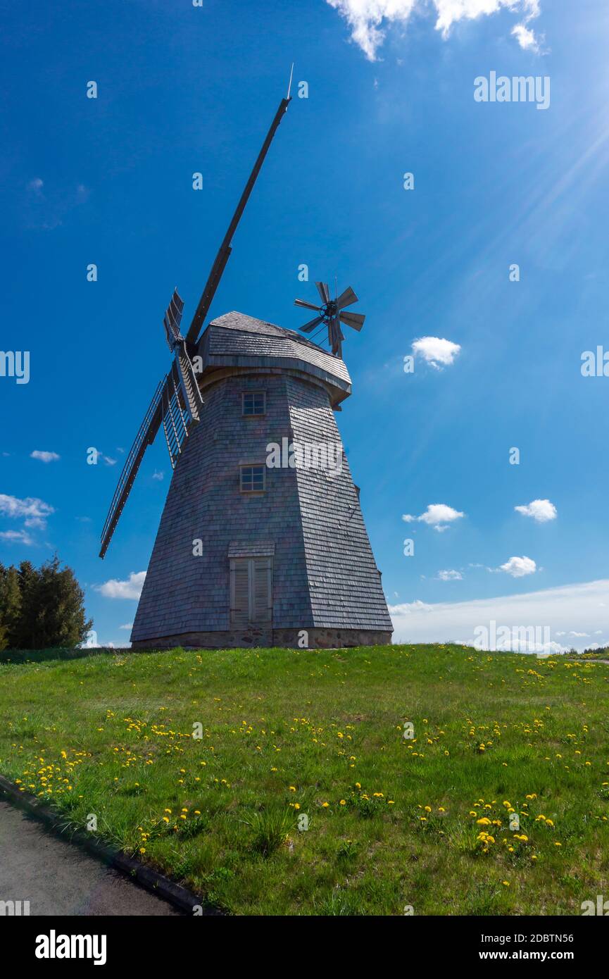 Historic windmill in a lush green field in spring against a sunny blue ...