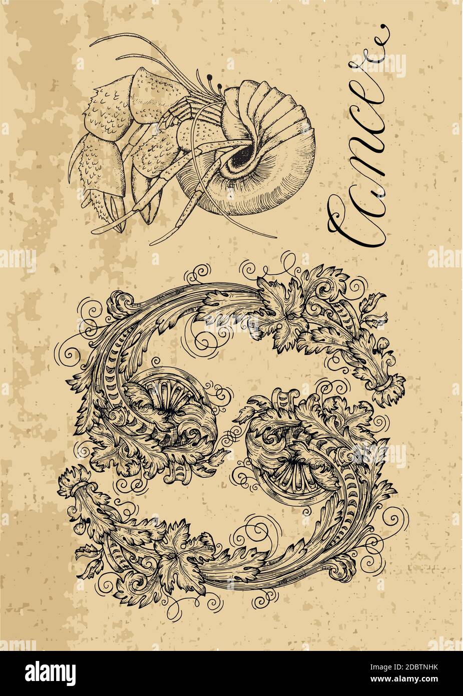 Cancer Zodiac Sign and fantasy mascot on texture. Collection of ...