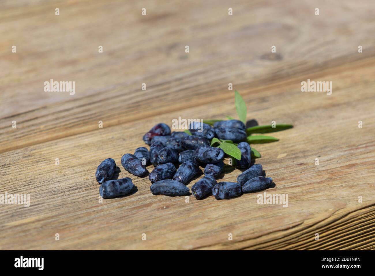 Haskap berries hi-res stock photography and images - Alamy