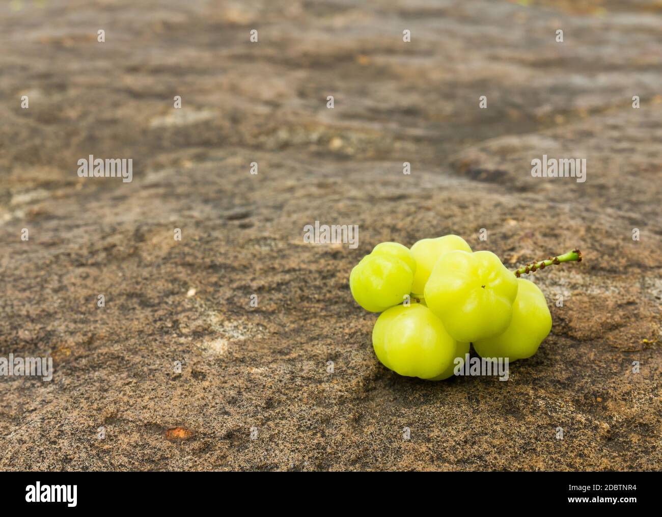 Star Gooseberry On stone background Stock Photo - Alamy
