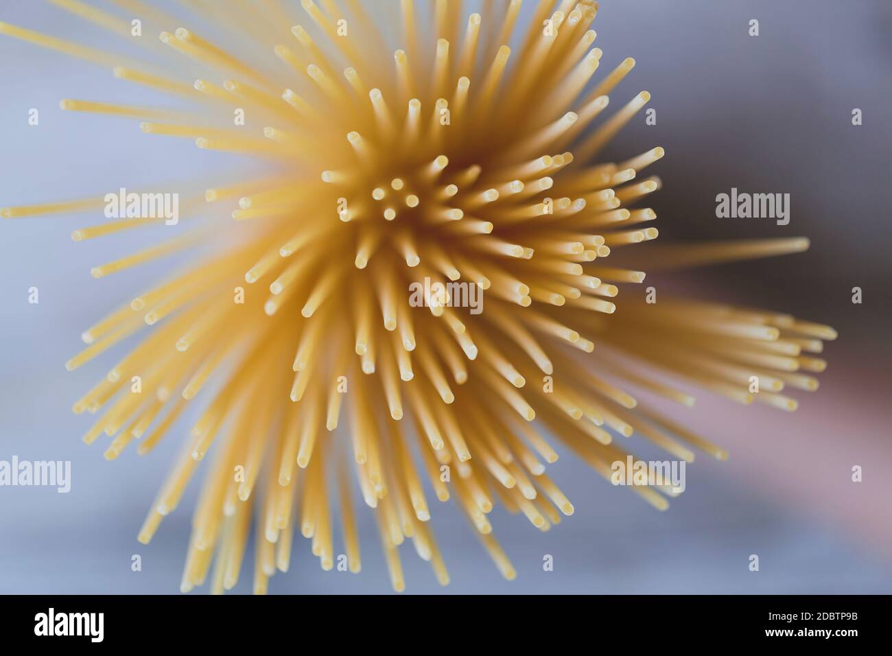 Macro of many Spaghetti Noodles and egg noodles Stock Photo - Alamy