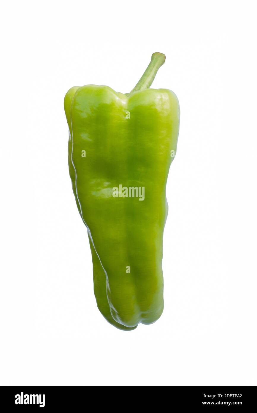 Cubanelle pepper (Capsicum annuum Cubanelle). Called Cuban pepper also ...