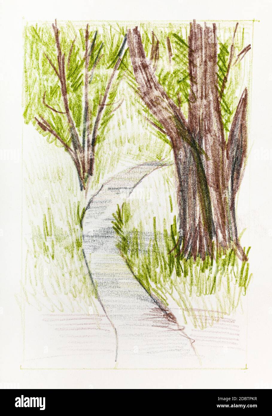 sketch of pedestrian path between trees in city park in summer hand ...