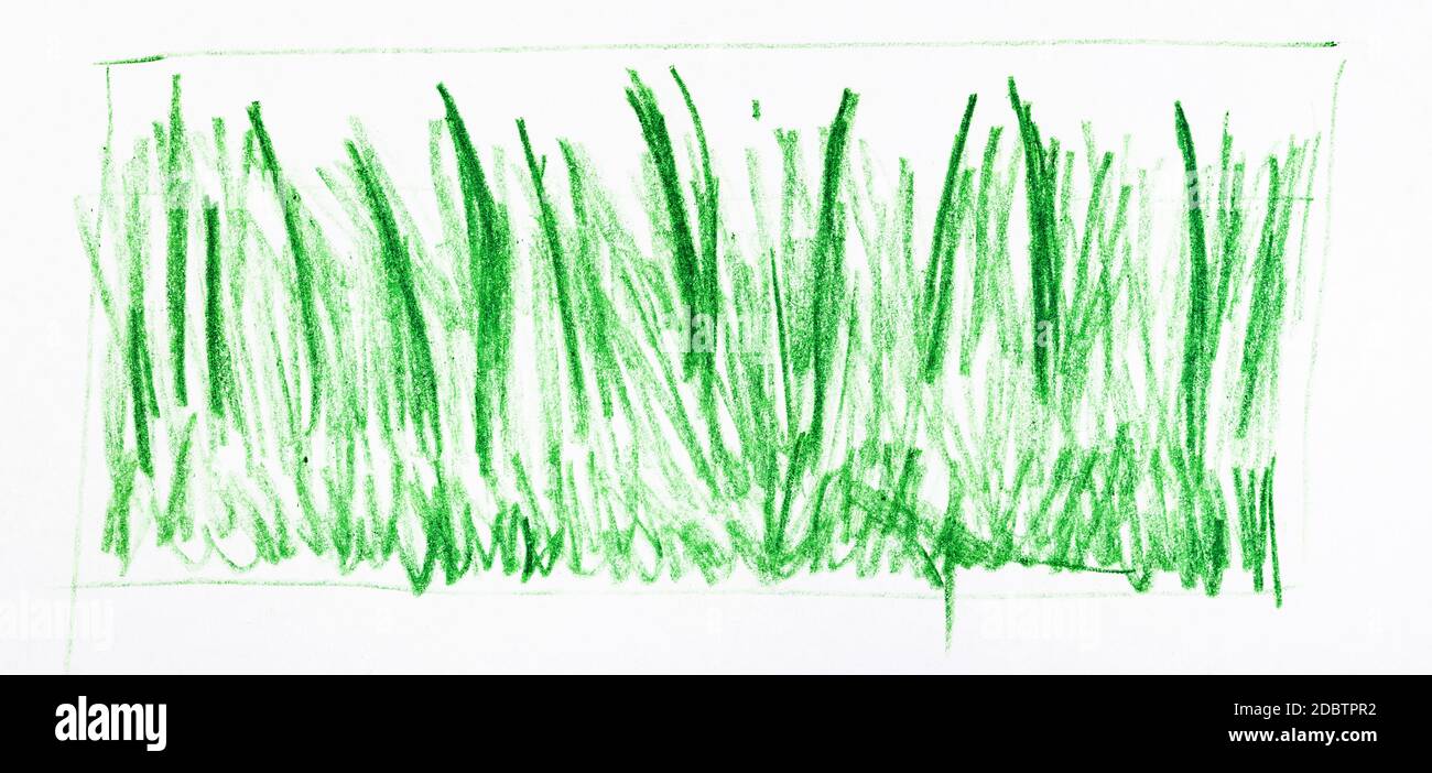 training sketch of summer green grass hand-drawn by green pencil on ...